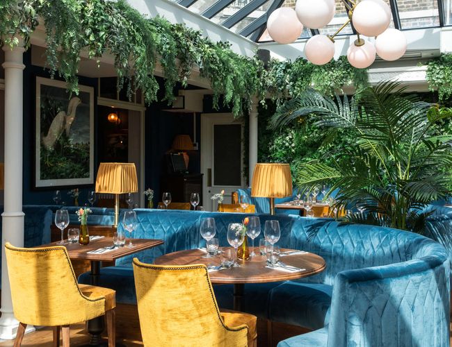 Introducing, Jubel Mango - Young & Co’s Brewery, P.L.C